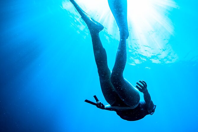 Snorkeling With Marine Biologist Expert From Sorrento - Guided by Passionate Experts