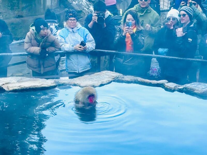 Snow Monkey Park & Zenko-ji Temple Nagano One Day Tour - Tour Inclusions and Exclusions