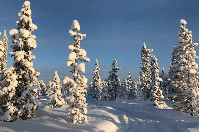 Snowmobile Arctic Adventure - Health Restrictions and Accessibility