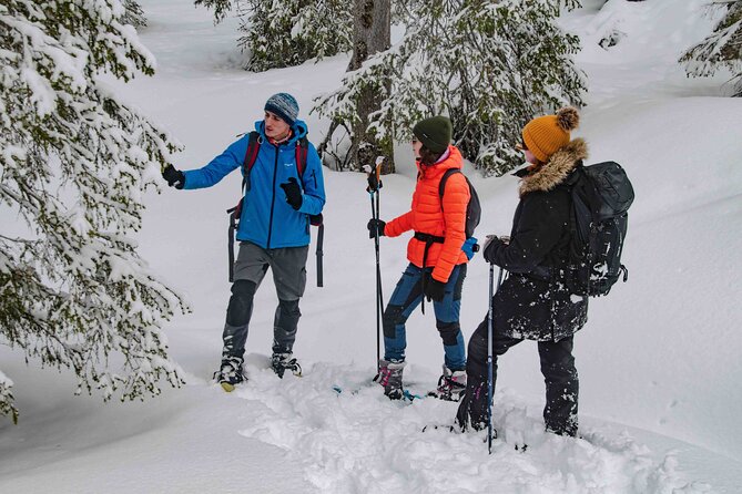 Snowshoeing Adventure With Ice-Fishing, Fire and Survival - Mastering the Art of Fire-Building