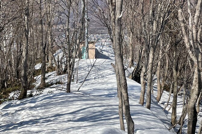 Snowshoeing and Onsen Adventures in a Winter Wonderland -Sapporo. - Wildlife Sightings and Serene Nature