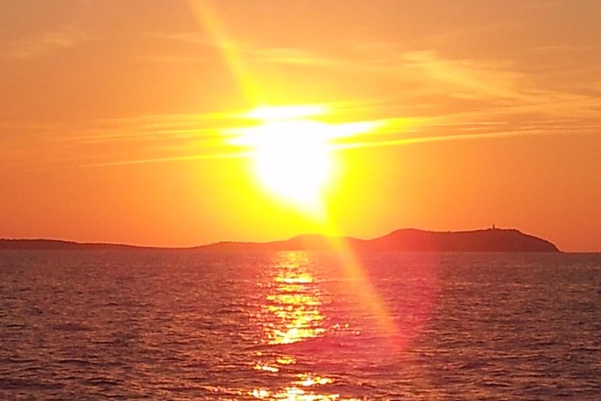 Sunset Catamaran Expedition in Front of Cafe Mambo - Customer Reviews