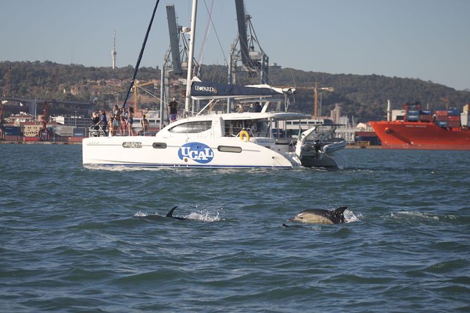 Sunset Catamaran in Lisbon | Music and Open Bar - Perfect for Couples and Special Occasions