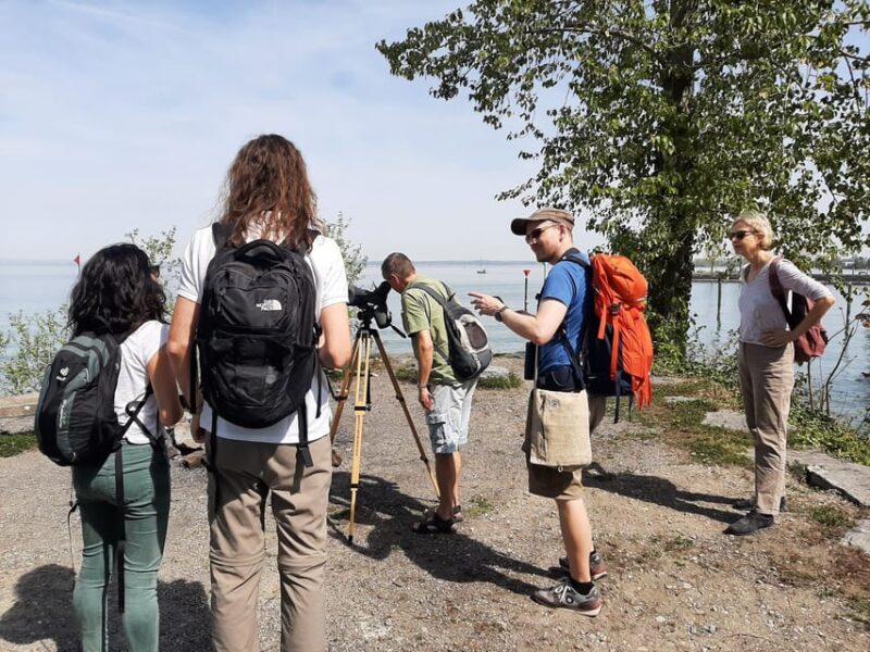 Switzerland: Closer to Nature. Private Nature Safaris - Birdwatching in the Wetlands of Lake Zurich