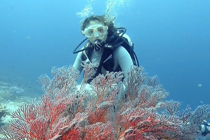 Taormina Scuba Diving Experience - Meeting and Pickup