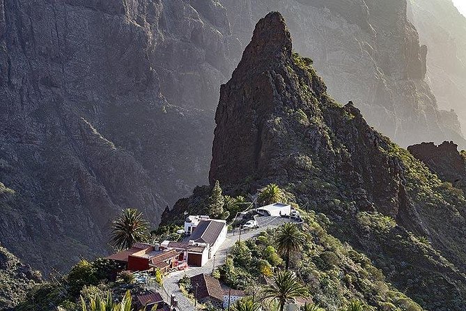 Teide-Icod-Garachico-Masca (Most Popular Bus Tour in Tenerife) - Accessibility and Capacity