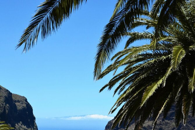 Tenerife Tour Mt. Teide and the Towns of Icod, Garachico, Masca - Visiting the Historic Port of Garachico