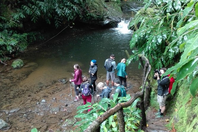 The Great Waterfalls Hiking Tour - Reviews and Ratings