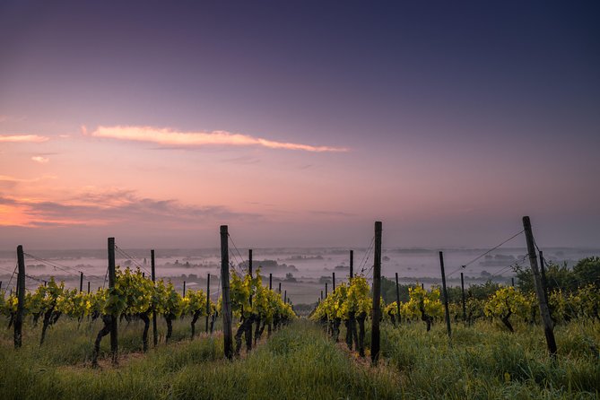 The Real Rioja Explore Tour - Private Experience - Customer Feedback