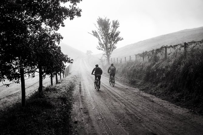 The Train Track Trail Mountain Bike Ride - Private Experience - Ratings and Reviews