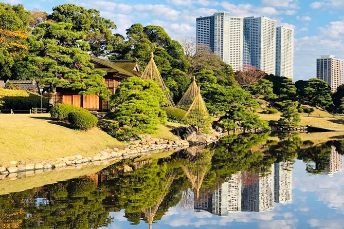 Tokyo 1-Day Bus Tour, Hotel Pick-Up and Drop-Off, Japan Gray Line - Positive Feedback