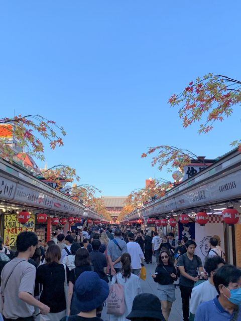 Tokyo: 1-Day Tokyo Private Tailor-made Tour - Transportation Options