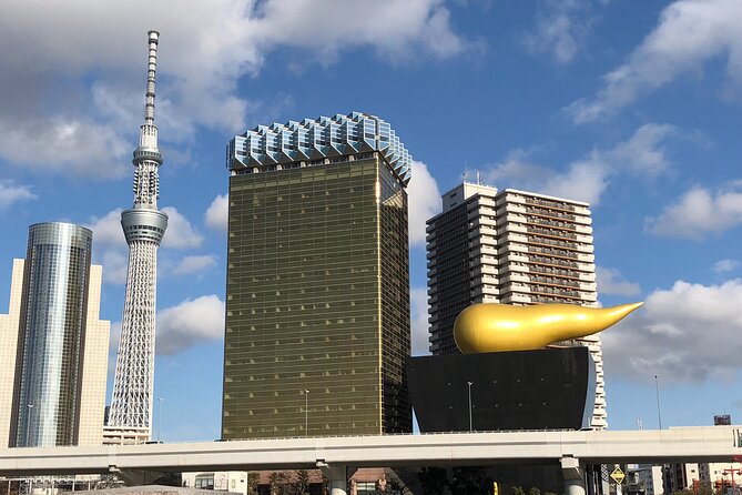 Tokyo 6 Hours Customized Private Tour - Inclusions and Amenities