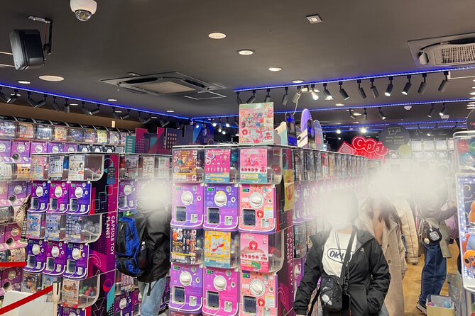Tokyo: Anime, Manga and Capsule Toy Tour in Shibuya - Accessibility and Logistics of the Tokyo: Anime, Manga and Capsule Toy Tour