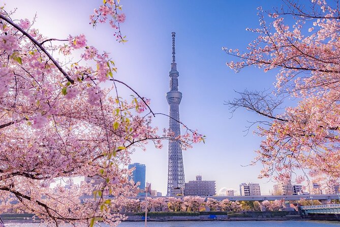 Tokyo Asakusa Half Day Walking Tour With Local Guide - Reviews and Ratings