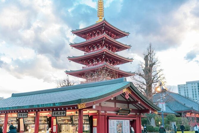 Tokyo Cherry Blossom Private One Day Tour - Guest Reviews and Feedback