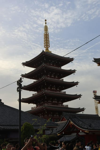 Tokyo: City Private Customized Trip With English Driver - Customer Reviews