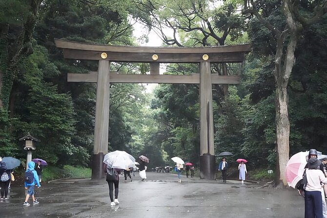 Tokyo Day Tour With English/Hindi Speaking Driver - Experience and Feedback