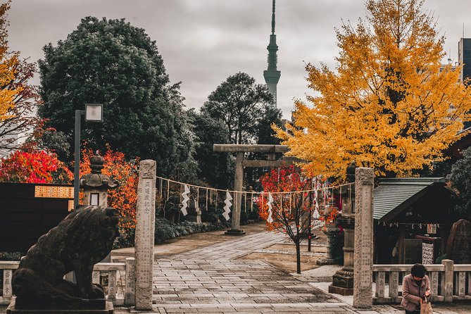 Tokyo Full Day Private Explorer Walking Tour - Exploring Tokyos Highlights