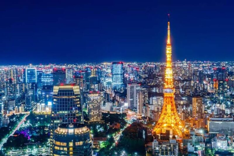 Tokyo: Full-Day Private Tour With English-Speaking Driver - Experiencing the Imperial Palace East Gardens