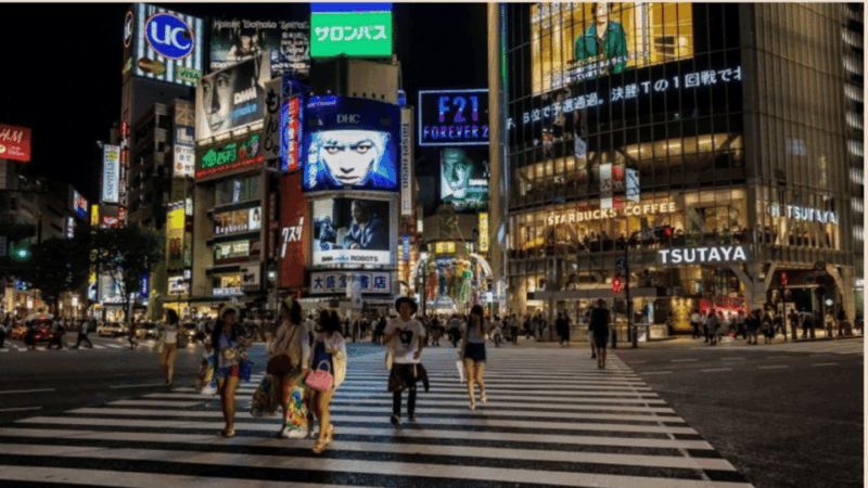 Tokyo Full Day Private Tour With Guide - Meiji Jingu Visit