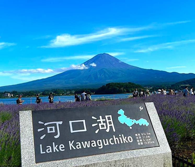 Tokyo: Mount Fuji Full Day Private Sightseeing Guided Tour - Pick-up and Drop-off Locations