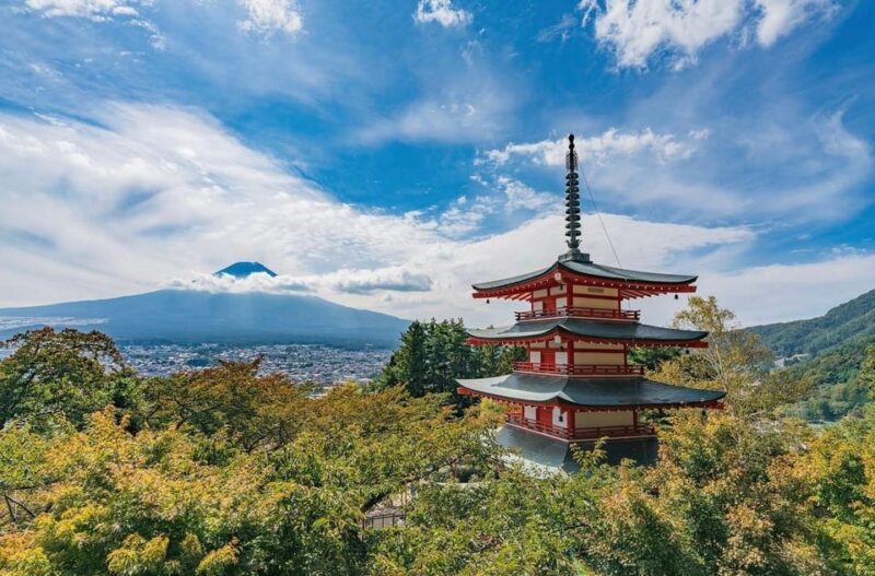 Tokyo: Mount Fuji & Hakone Private Customized Full Day Tour - Customer Reviews