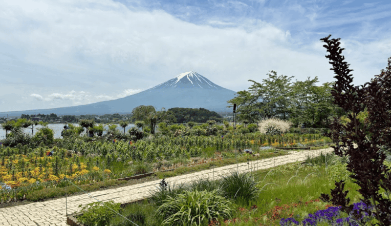 Tokyo: Mount Fuji Sightseeing Tour English Speaking Driver - Accessibility and Restrictions