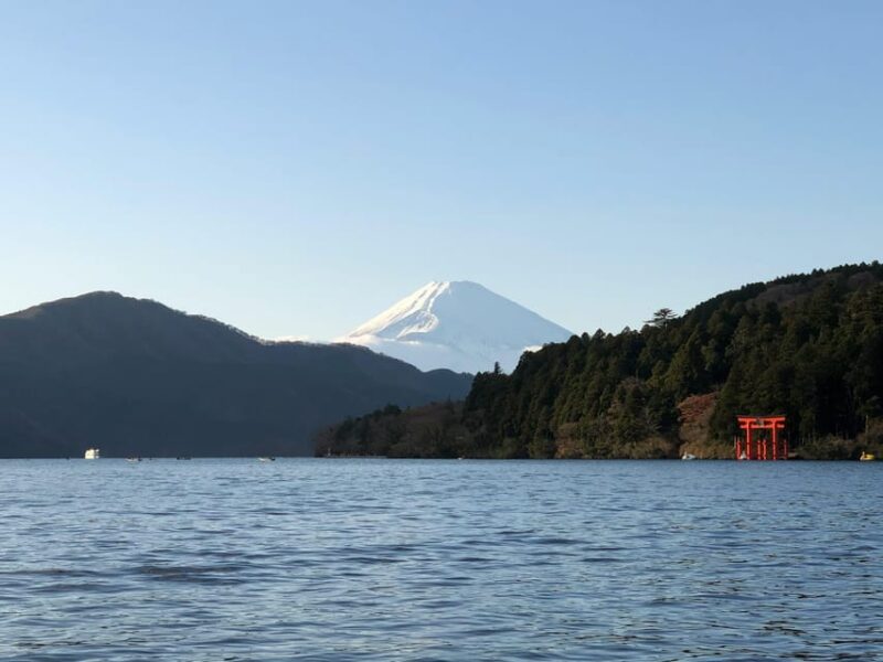 Tokyo: Mt. Fuji and Hakone Day Trip With Lake Ashinoko - Mt. Fuji 5th Station