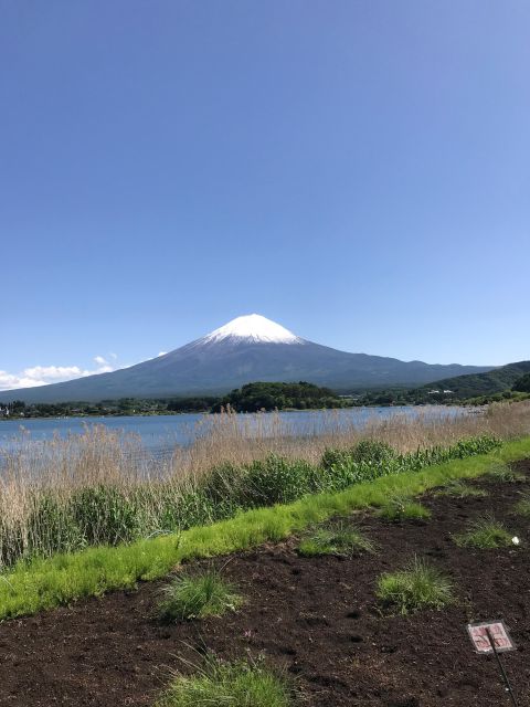 Tokyo: Mt Fuji Area Guided Tour With Traditional Lunch - Accessibility and Requirements