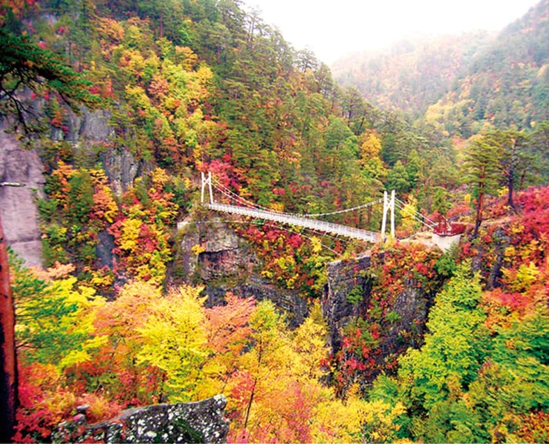 Tokyo: Nikko Day Tour With English Driver and Flexible … - Important Information for Participants
