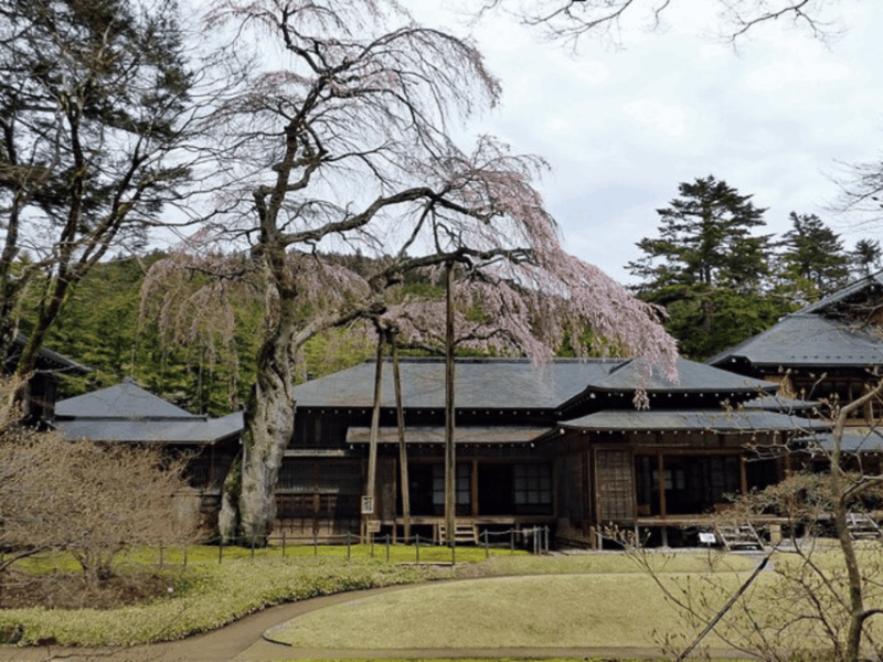 Tokyo: Nikko Unesco World Heritage Private Day Tour & Pickup - Inclusions and Exclusions