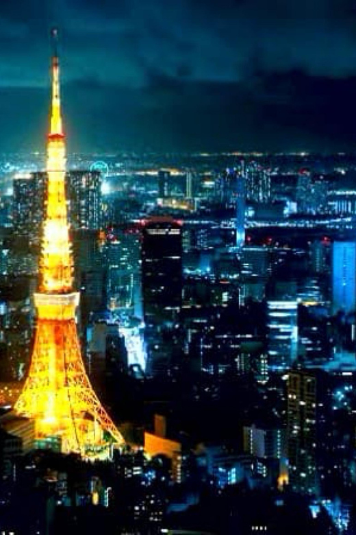 Tokyo One Day Private Tour With English Speaking Driver - Inclusions