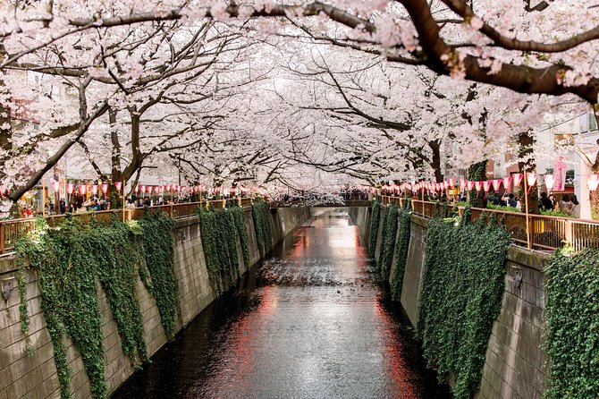 Tokyo Private Customizable Full Day Tour - Booking and Cancellation Policies