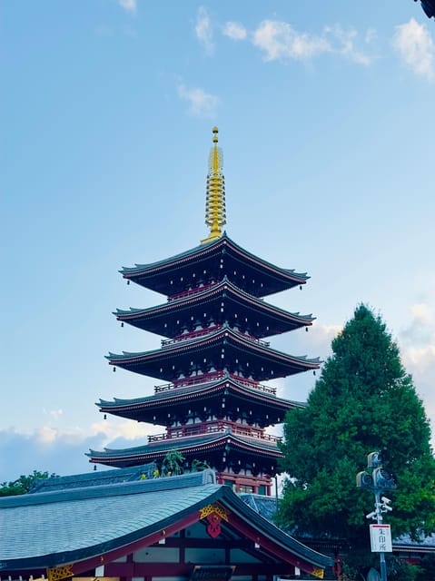 Tokyo: Private & Customizable Tour W/English Speaking Guide - Customization Options