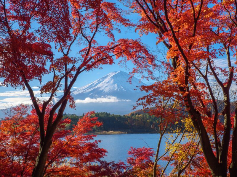 Tokyo: Private Motorcycle Day Trip to Fuji and Hakone: Onsen - Hakone Shrine: Exploring the Historic Shrine Complex