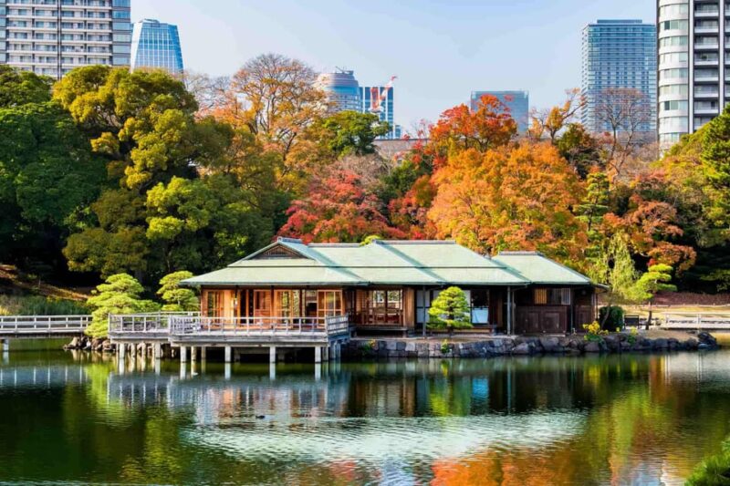 Tokyo: Private Night Tour With English-Speaking Driver - Important Information