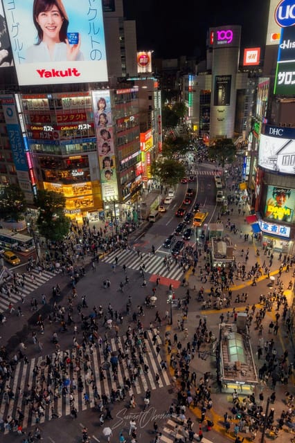 Tokyo Private Tour With English Pro Guide by Luxary Vehivle - Customer Reviews and Feedback