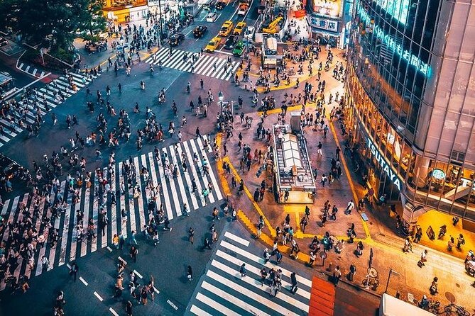 Tokyo Private Trip With English Speaking Driver - Cancellation and Flexibility