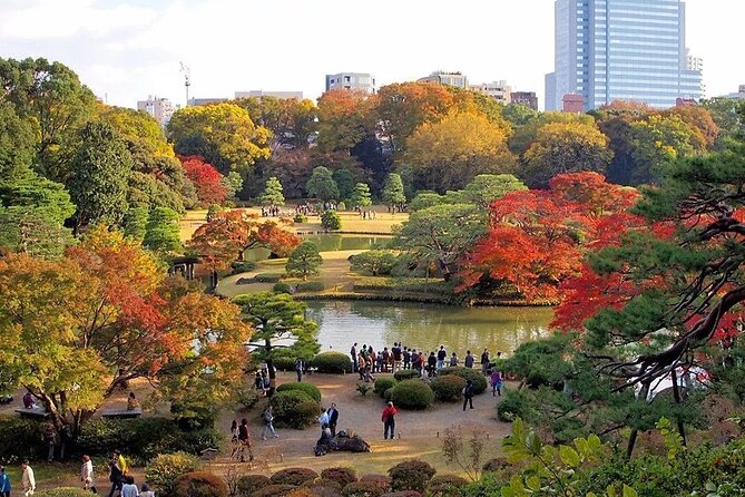 Tokyo Self-Guided Audio Tour - Flexibility in Exploration