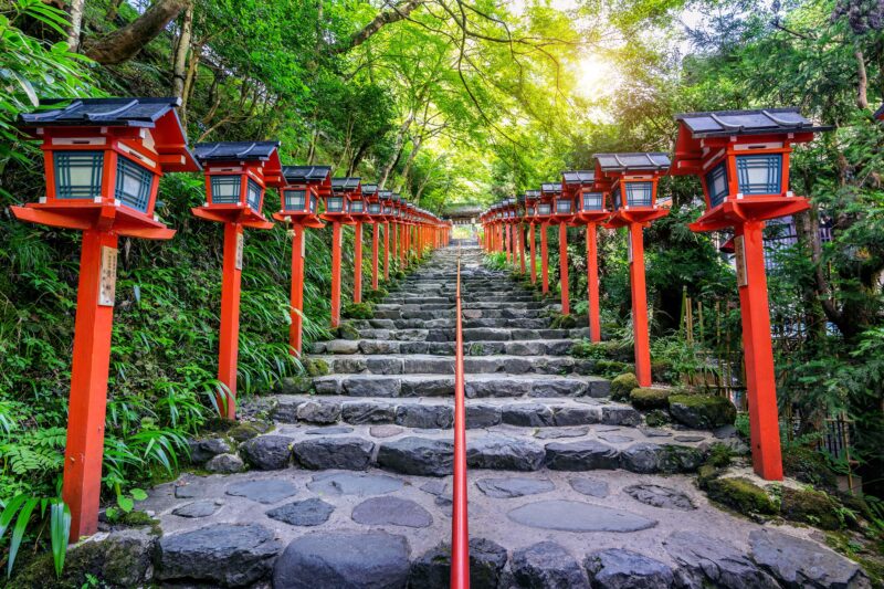 Tokyo: Snow Monkeys & Zenkoji Temple Unforgettable Day Tour - Accessibility and Inclusions