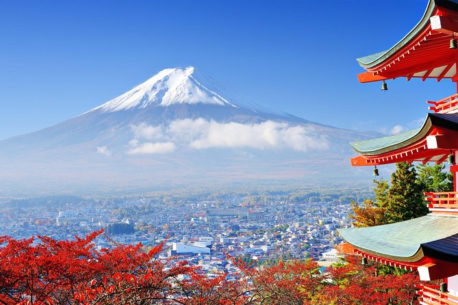 Tokyo to Hakone | Private and Personalized Day Trip With a Local - Reviews and Feedback