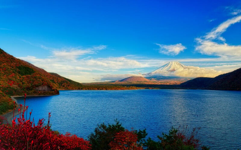 Tokyo to Mt Fuji 5 Lakes Private Tour Green Number Plate Car - Booking Information and Cancellation Policy