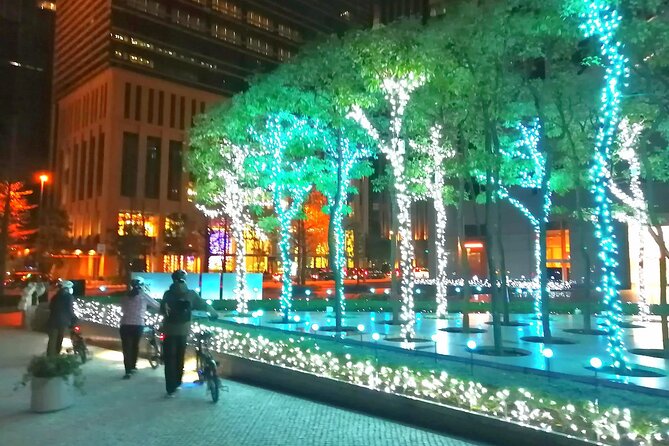 Tokyo Winter Illumination Ebike Tour - Weather Policy