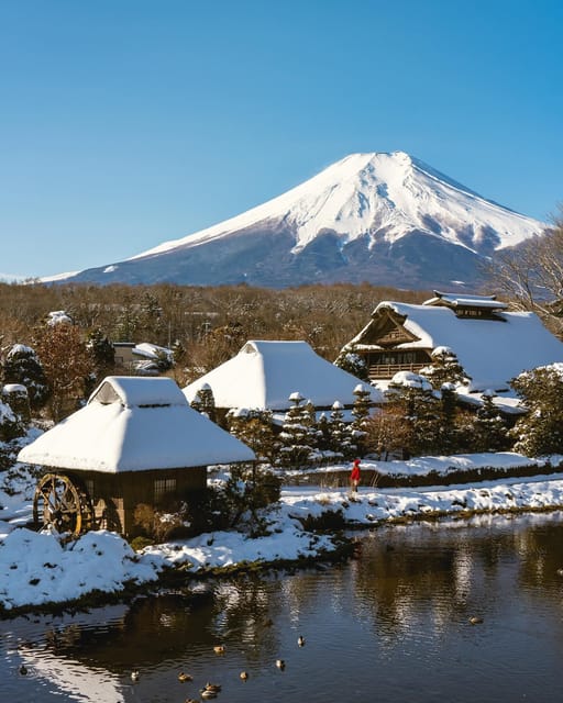 Tokyo:Mount Fuji & Hakone Customized Tour With English Guide - Important Information