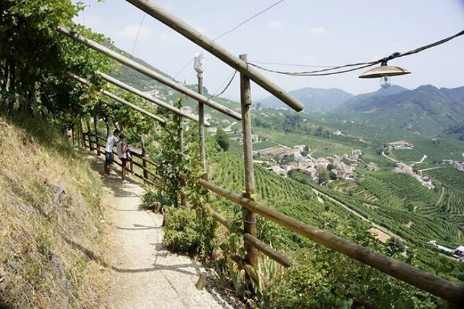 Tour in the Prosecco Hills Tour From Padua - Highlights of the Tour