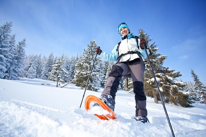 Tromso Guided Snowshoe Trip - Interactions With Huskies and Pups