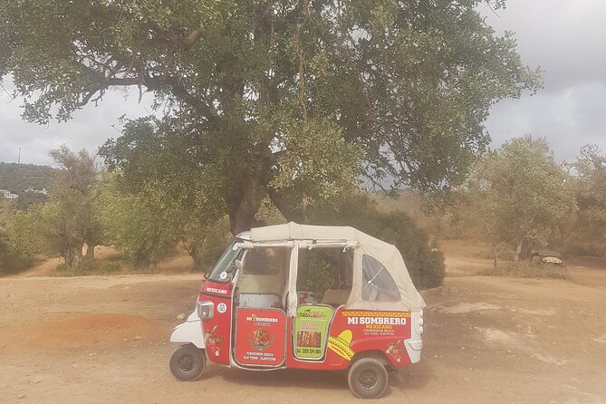 Tuk Tuk Tour- the Best Way to See Coast and Country Side - Personalized Experiences for Every Group