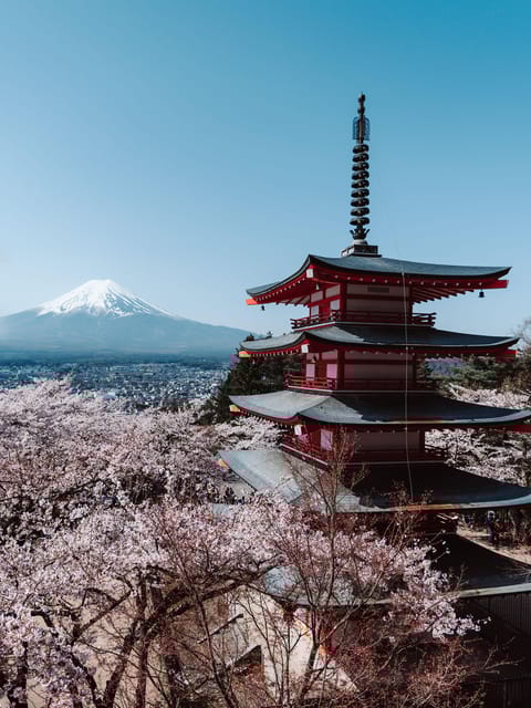 Ultimate Fuji Photography Expedition: Hidden Gems - Transportation and Meals