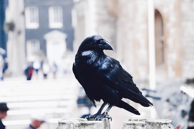 Ultimate Royal London: Tower of London & City of Westminster Tour - Highlights of the Walking Tour